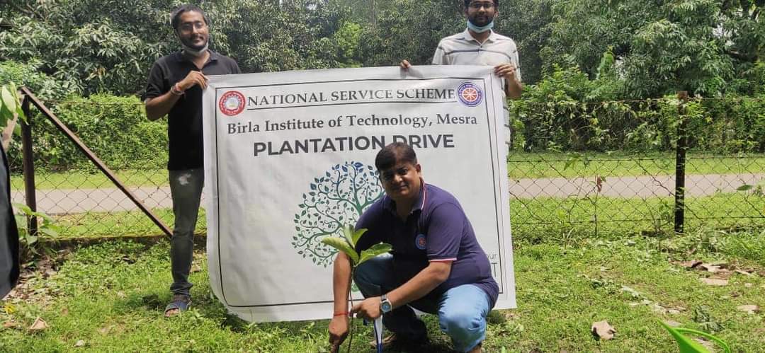 Plantation Drive